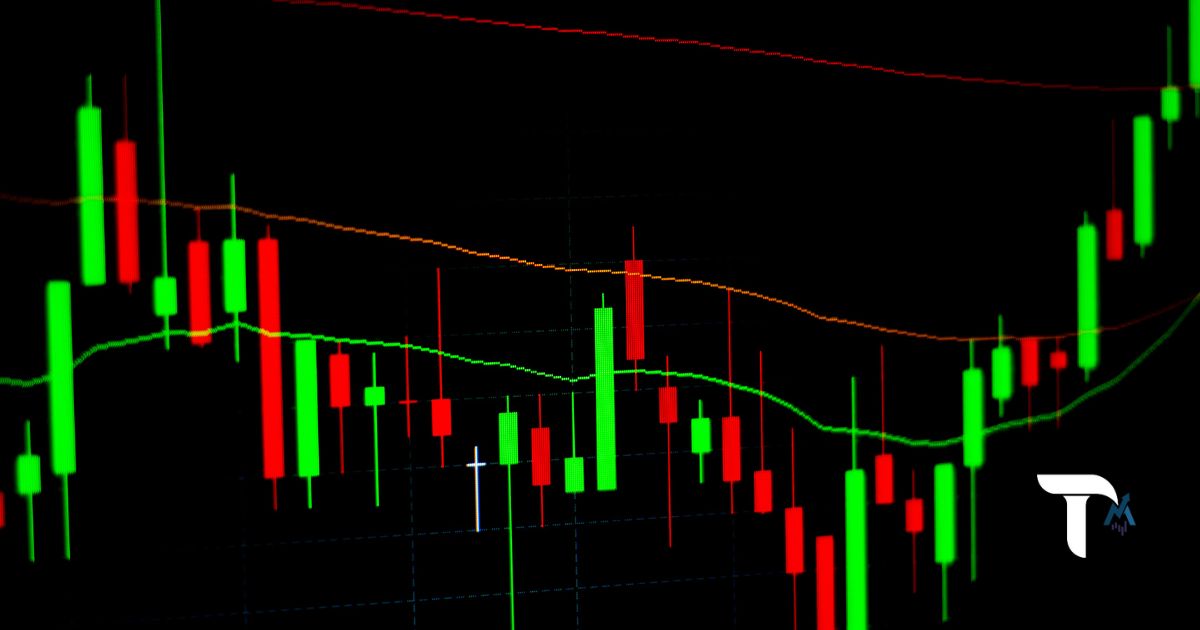 How To Trade Forex With A Live Account? Comprehensive Guide