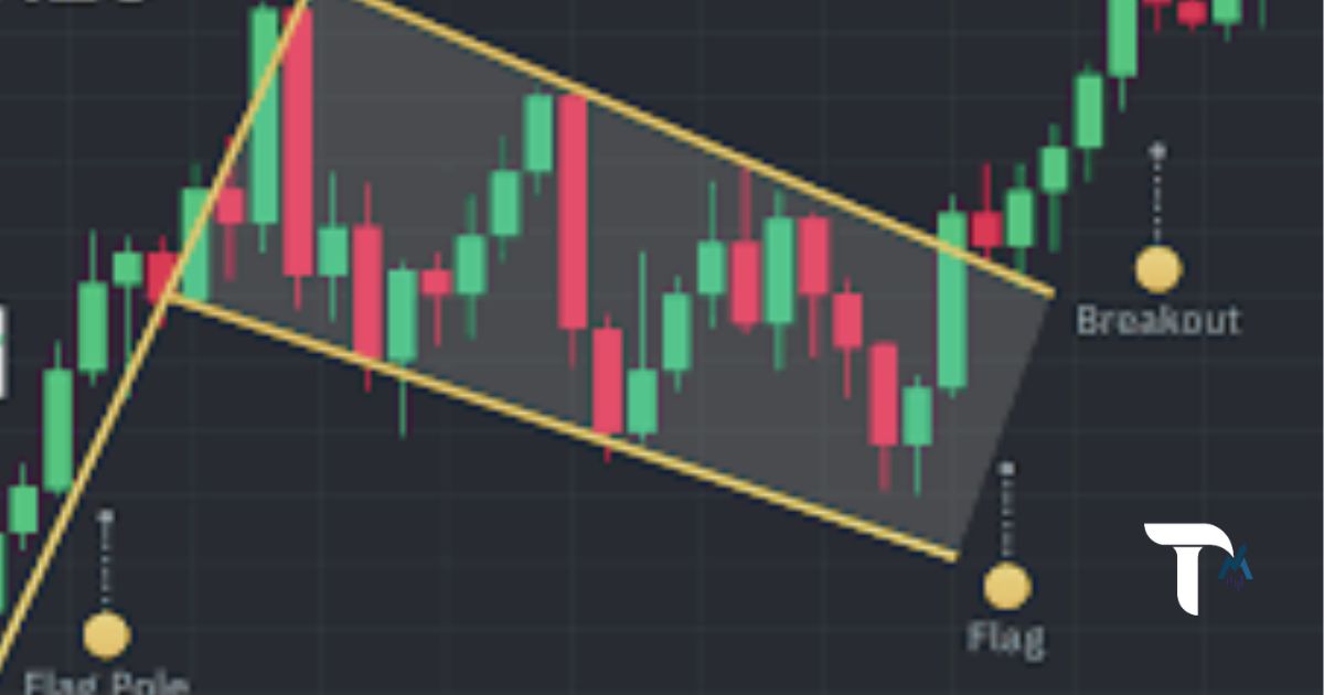 How To Trade Forex In A Bull Market? Strategies And Tips